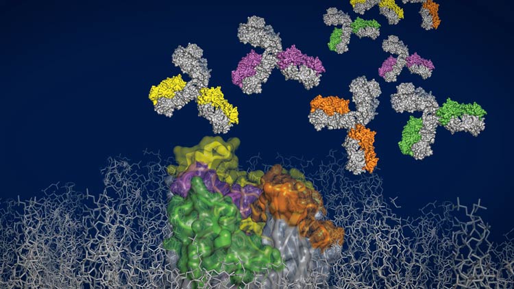 Genentech: Hidden Targets