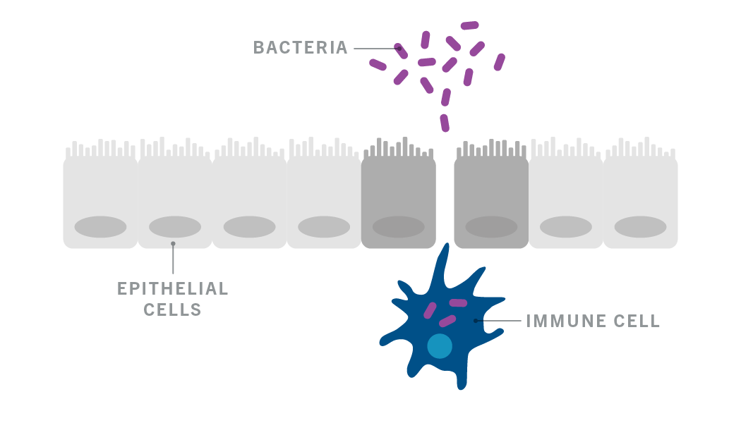 Genentech: Mechanisms of Healing