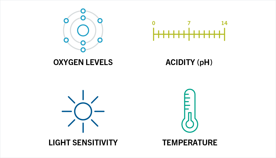Genentech: Modern Day Alchemy