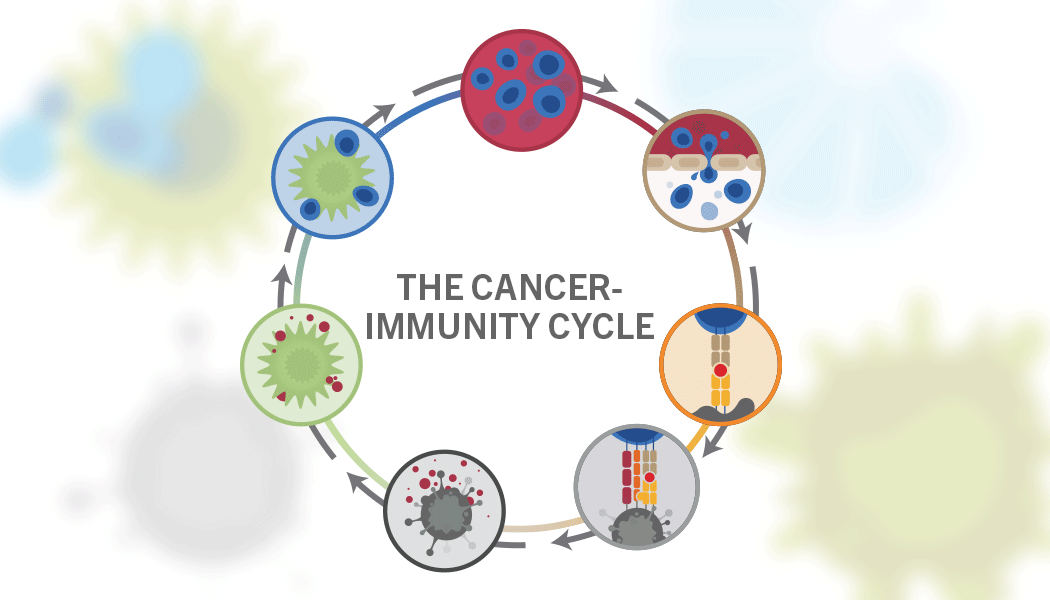 Genentech: Advances in the Cancer-Immunity Cycle