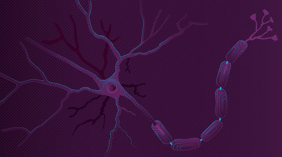 Genentech: Understanding SMA
