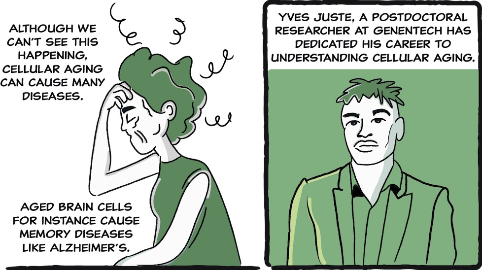 Genentech: A Clean Sweep