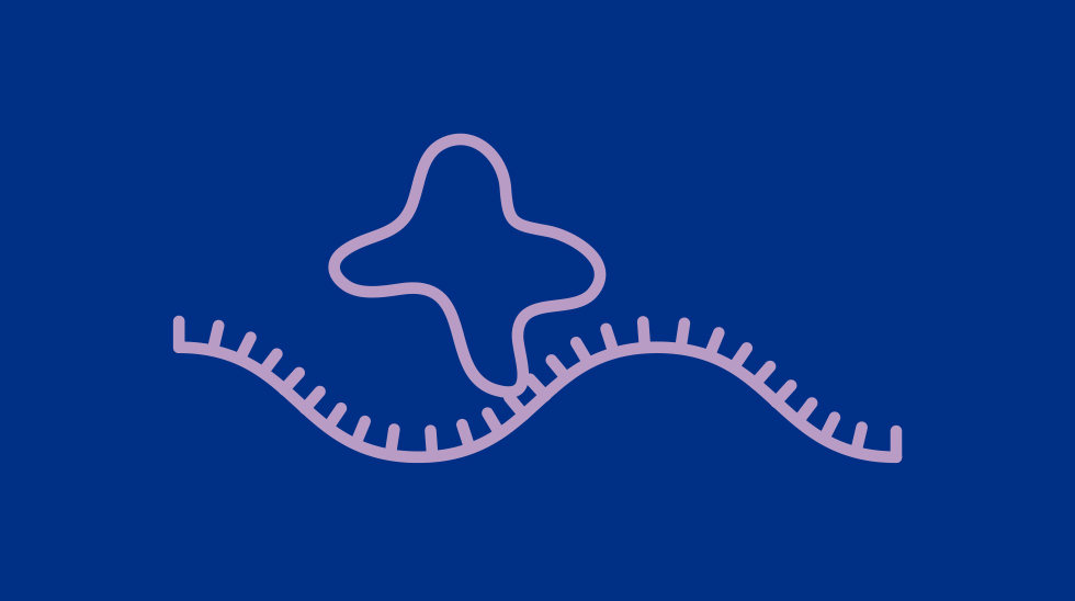 Genentech: RNA Modulators