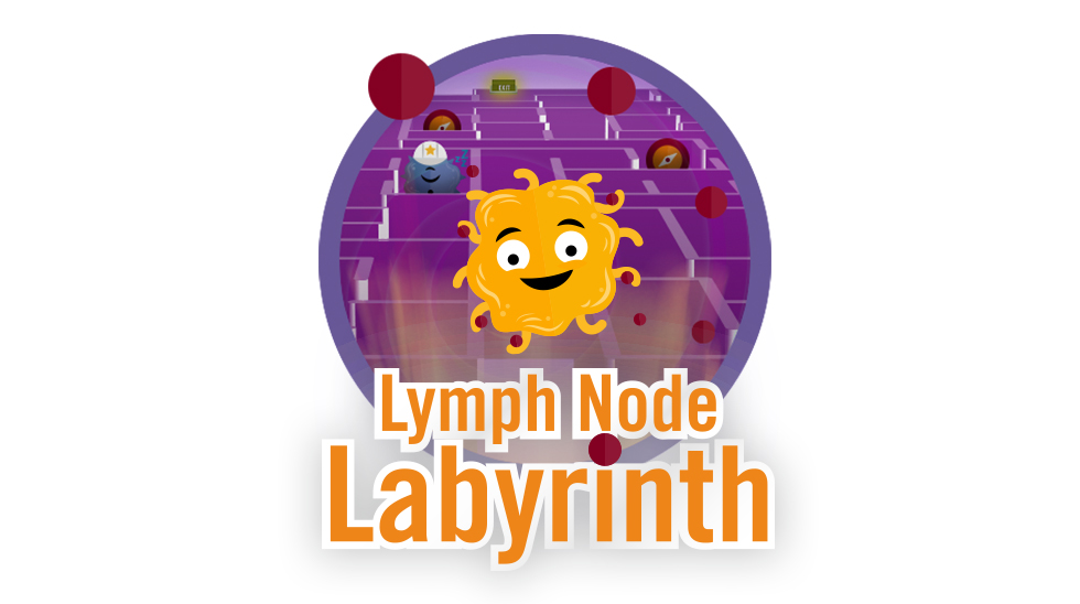 Genentech: Lymph Node Labyrinth