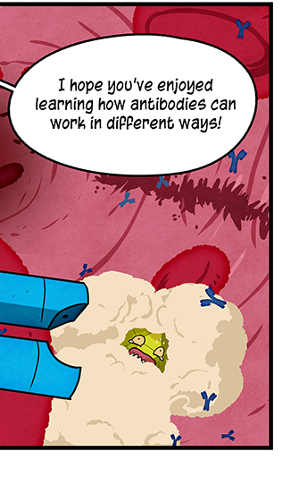 Genentech The Antibody Genentech The Antibody