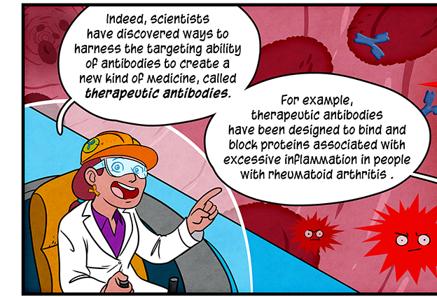 Genentech The Antibody Genentech The Antibody