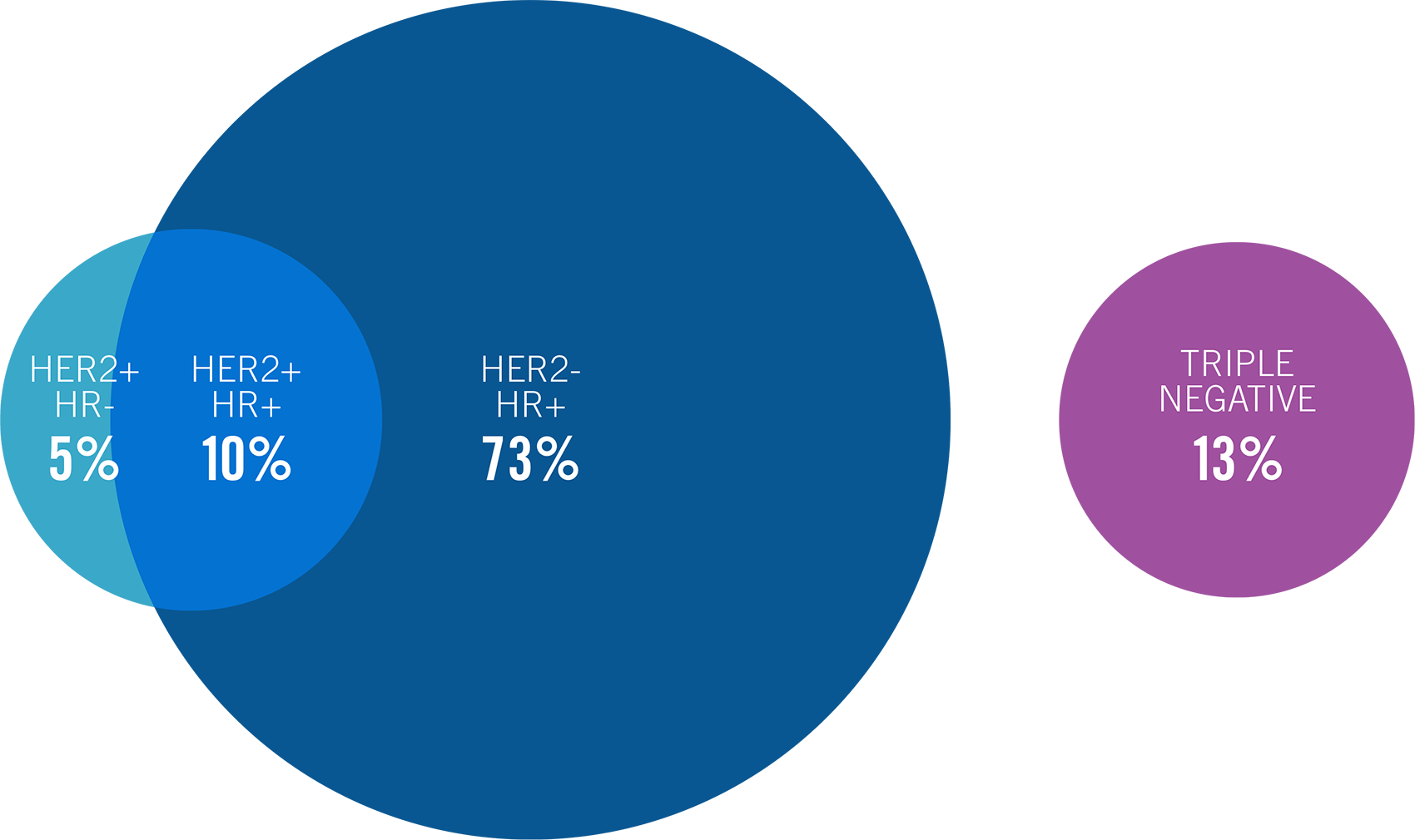 Genentech: Breast Cancer Treatment Basics