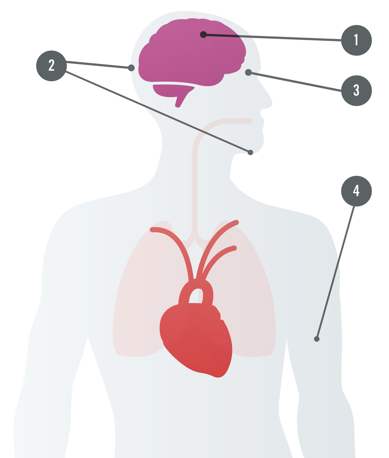 Genentech: Understanding Giant Cell Arteritis
