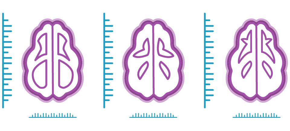 Genentech Understanding Multiple Sclerosis