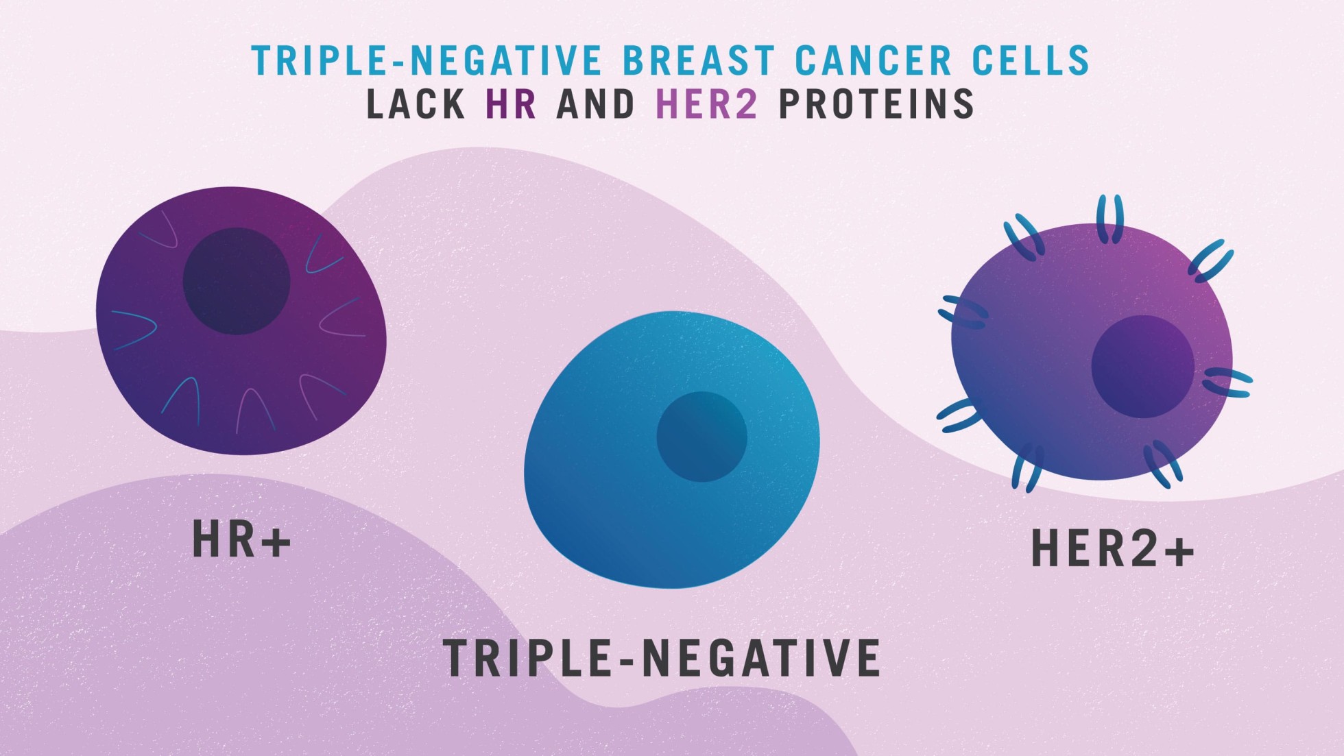Genentech: Facing TNBC Together