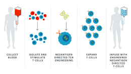 Genentech: A New Age for Neoantigens