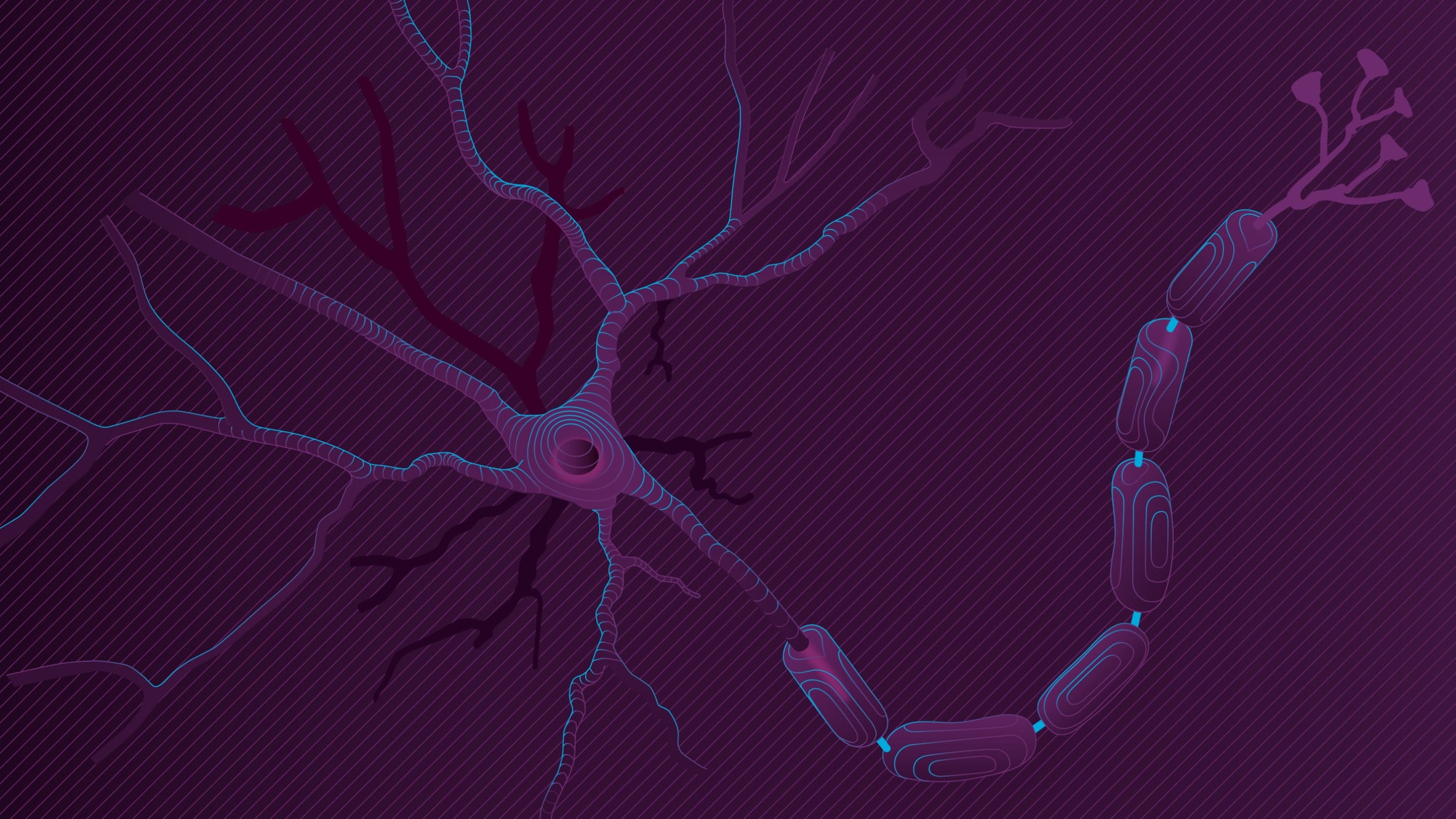 Genentech: Understanding NMOSD