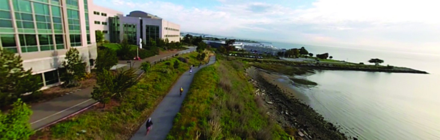 Genentech: A Place for New Perspectives