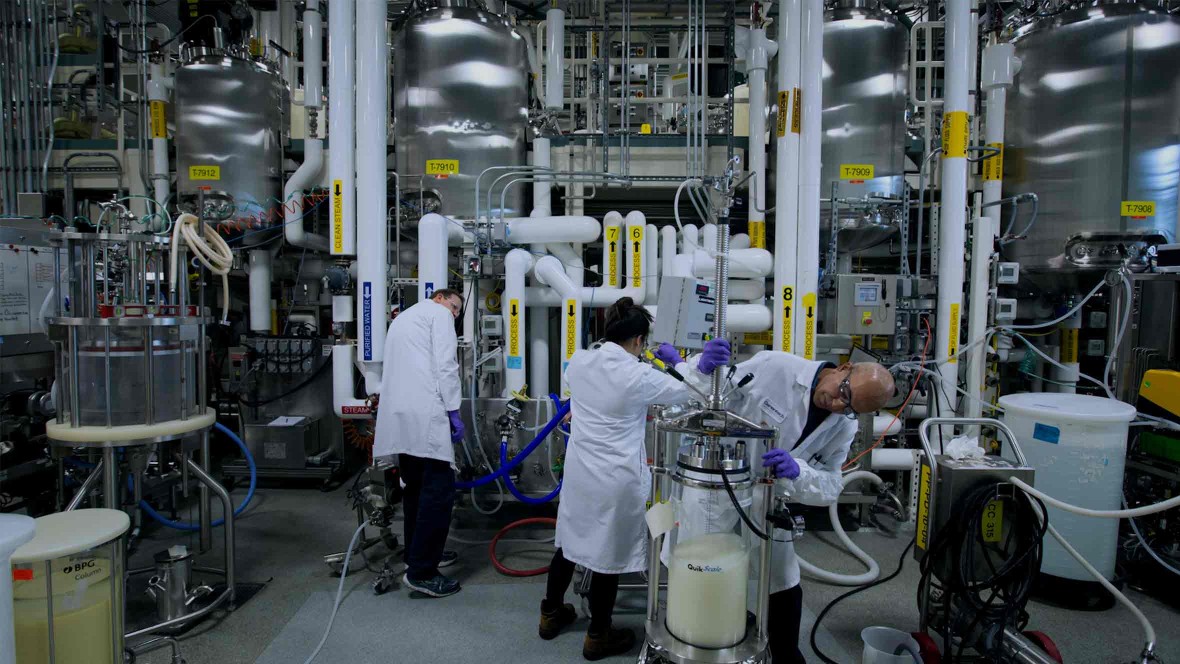 Genentech: Cells Never Sleep